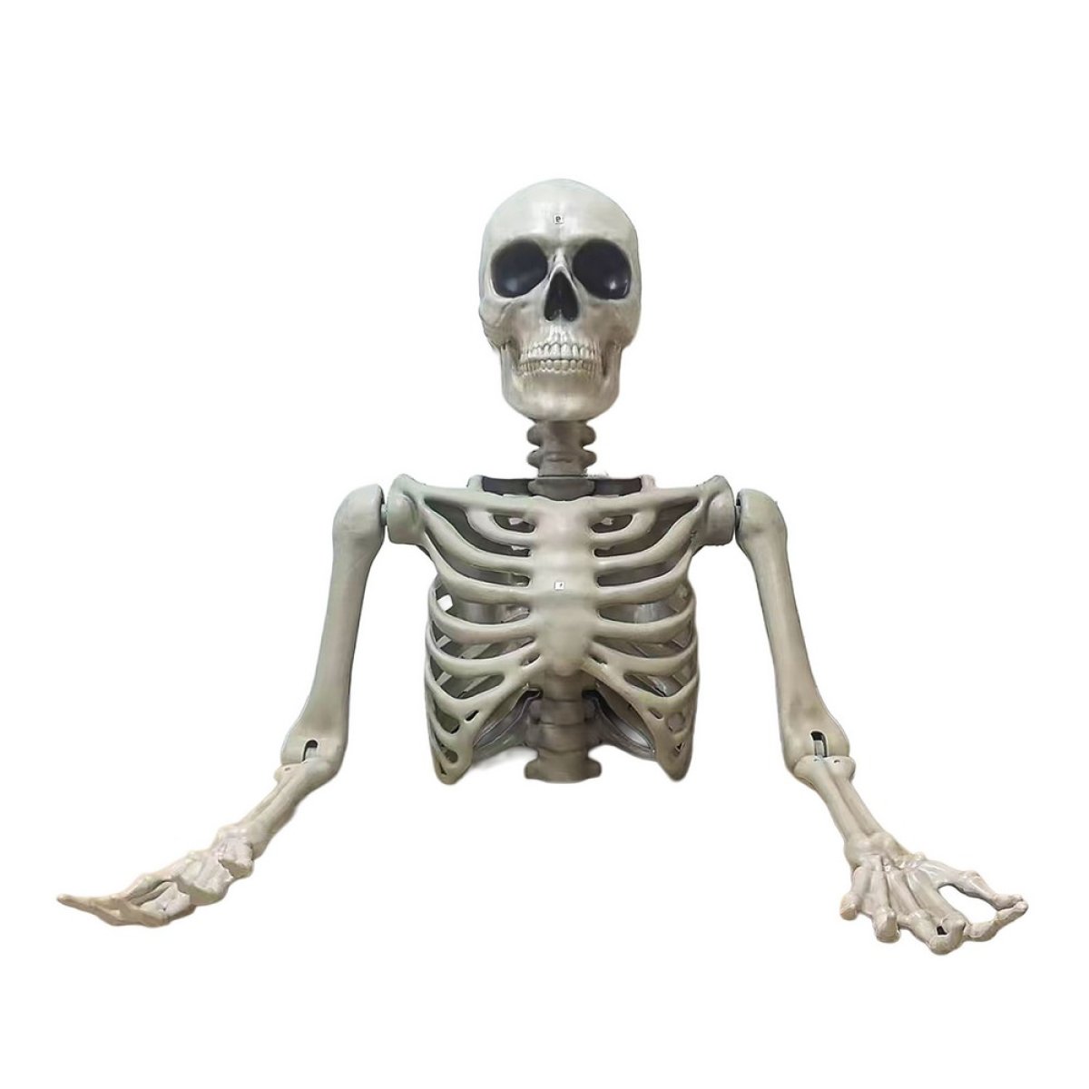 Lifesize Skelet Overkrop | 24T Levering på pynt til enhver anledning ...